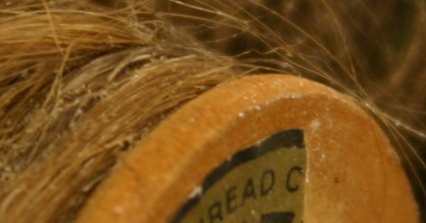 Hair Works | Urban Arts Space